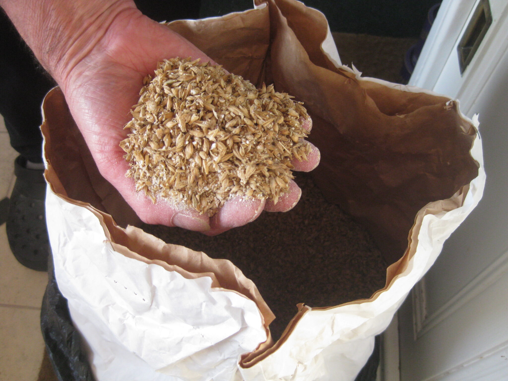 Experimental Archaeology, Barley, Malt and Ale in Prehistoric Scotland ...