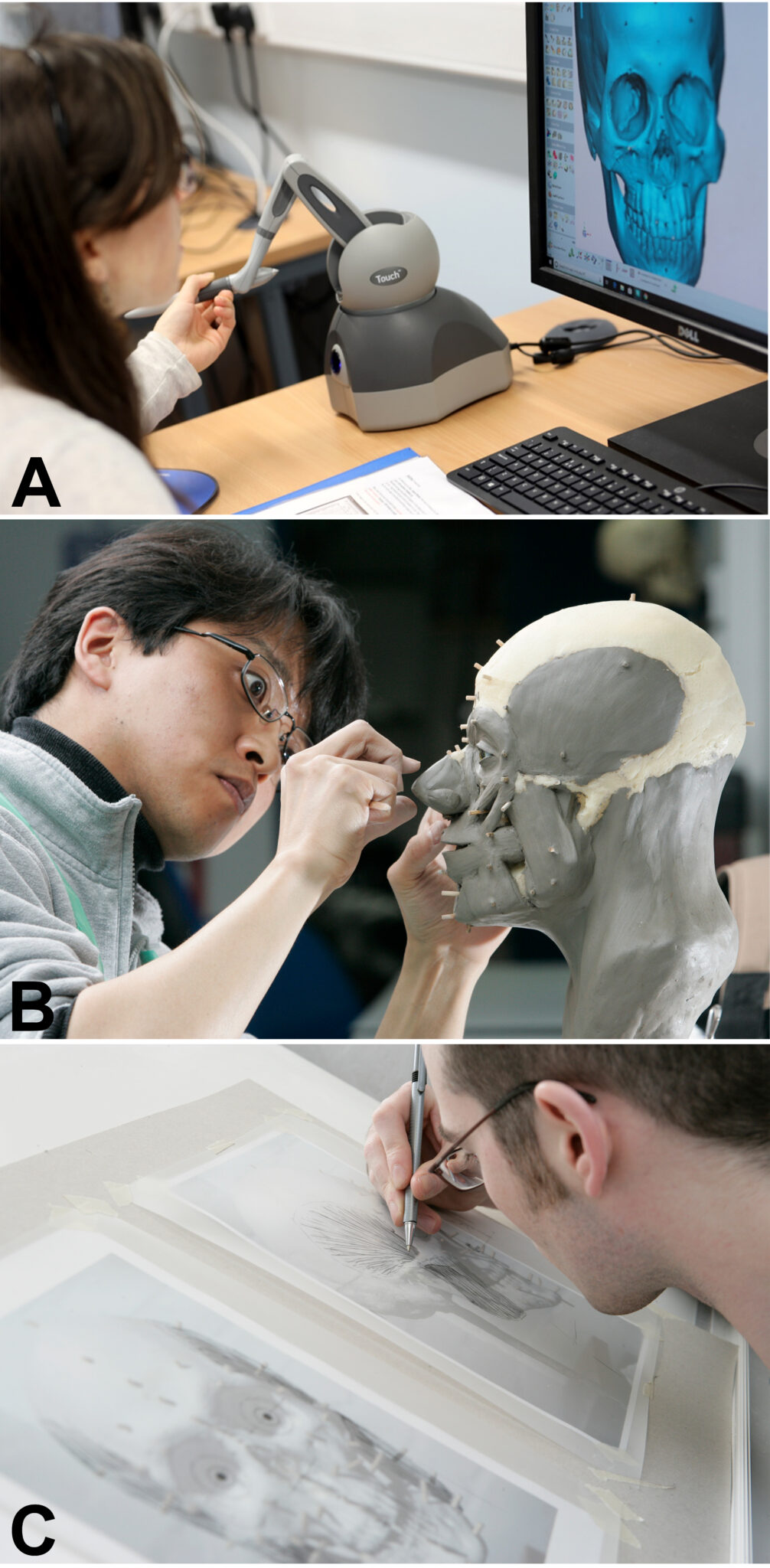 Facing our Past with Facial Reconstruction - Dig It!