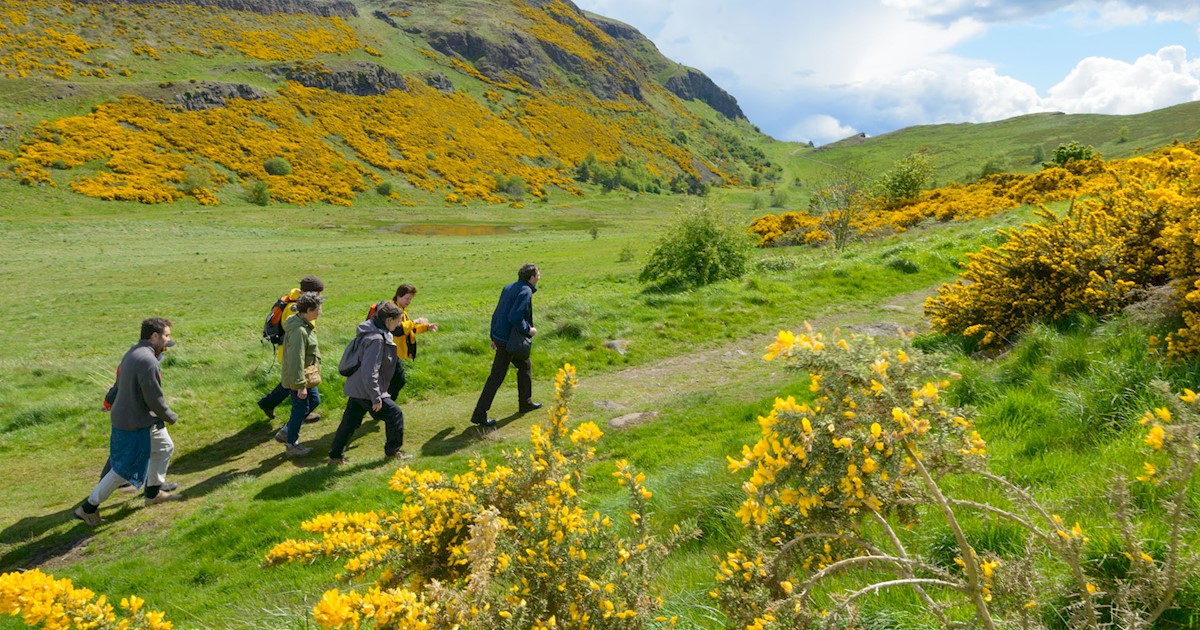 Arthur's Adventure - Challenging Guided Walk - Dig It!